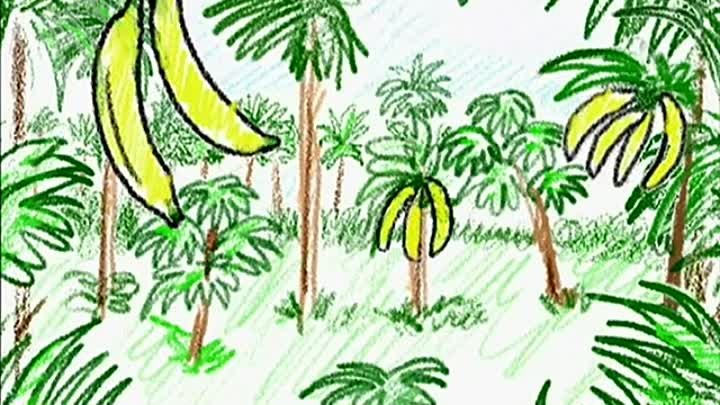 Baby Einstein - Baby World Animals (VCD) (Spanish Español)