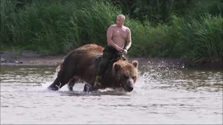 PUTIN RIDING BEAR [REAL FOOTAGE] ️2018 ️