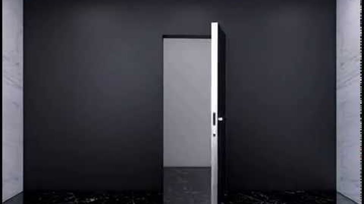 Invisible Profil Doors