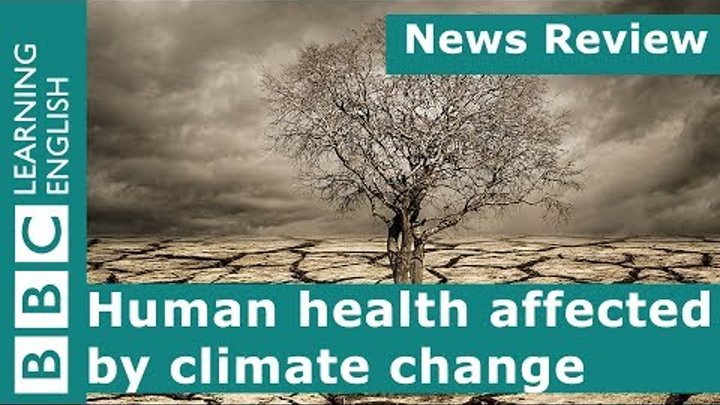 Human health affected by climate change: BBC News Review
