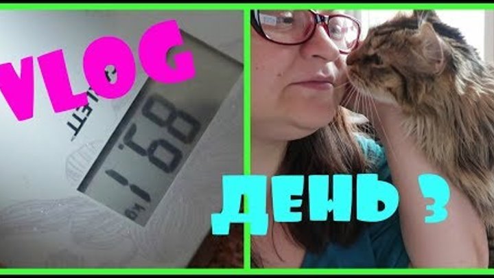 VLOG.НЕДЕЛЯ ВЛОГОВ ДЕНЬ 3 / VLOG.WEEKS VLOGOV DAY 3