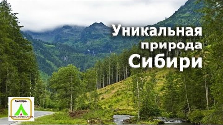 Природа Сибири / Nature Of Siberia/Die Natur In Sibirien/