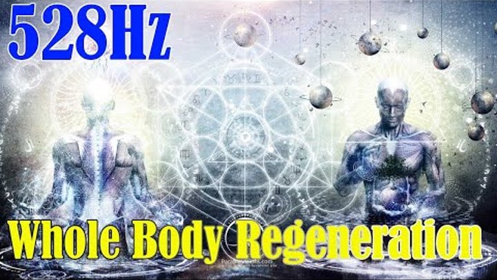 Whole Body Regeneration | Full Body Healing | LET GO of Fear ...