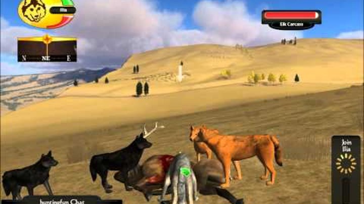 WolfQuest Multiplayer - Bull hunting