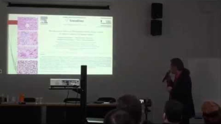 Продукты Perfect Organics Amla Extra Saberry от Perfect Organics