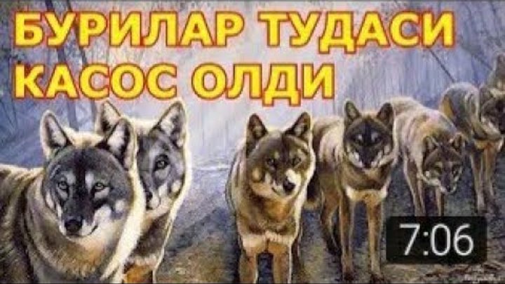 Бурилар Касоси Таржима кино Burilar Qasosi Tarjima kino