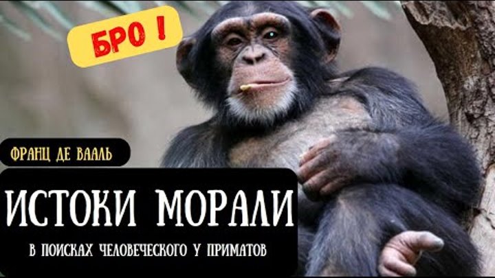 ИСТОКИ МОРАЛИ Франц де Вааль #документальное #history #аудиокнига