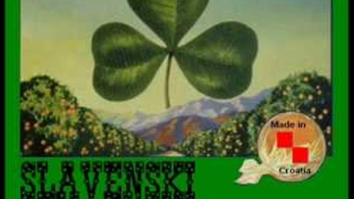 The Shamrock - Old Skibbereen