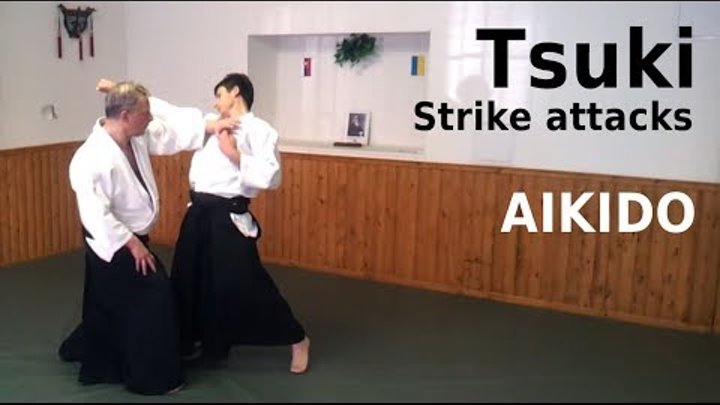 Aikido Tsuki - Strike Attacks