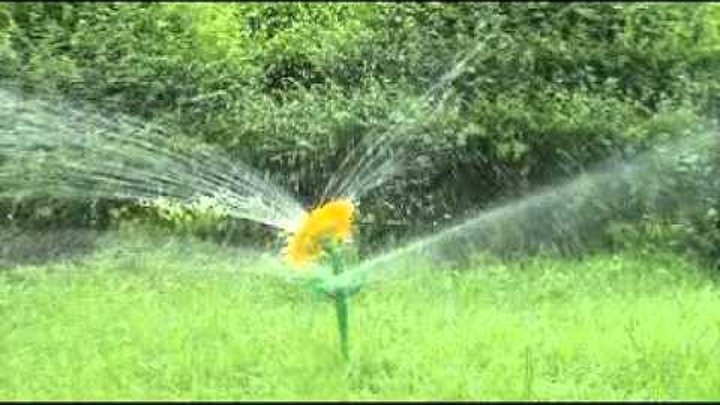 Распылитель "Подсолнух" для полива