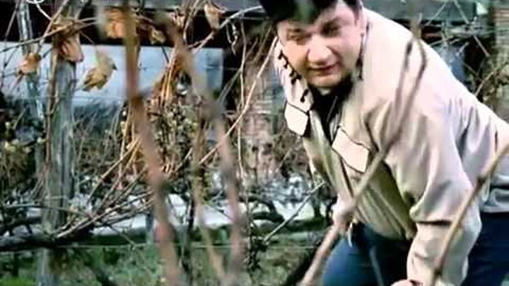 kaxelebi - paata guliashvilis anegdoti, კახელები - პაატა გულიაშვილის ...