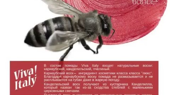 Вебинар "Губная помада Viva Italy!"