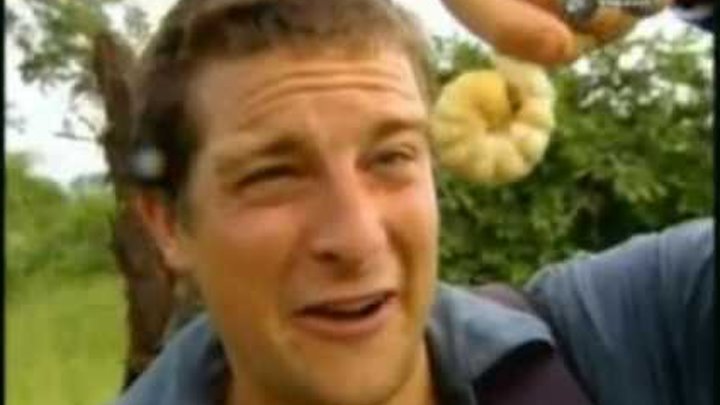 Man Vs Wild - Bear Grylls slug