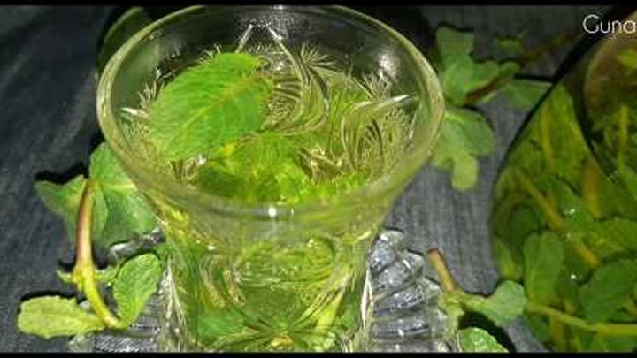 Mualicevi bitki cayi Yarpiz çayı ve faydalari