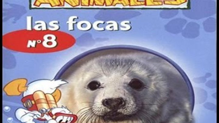 El maravilloso mundo de los animales de disney, Las Focas ♥