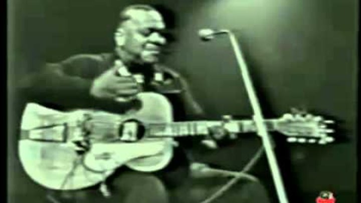 Big Joe Williams She Left Me A Mule To Ride 1966 mpg