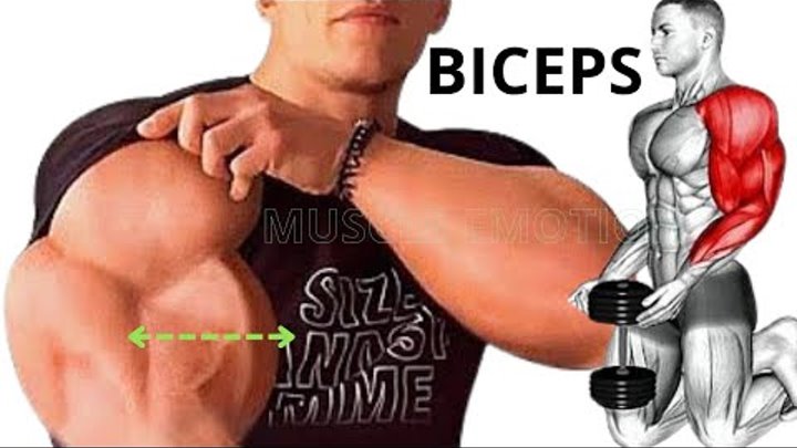 5 BEST BICEPS WORKOUT AT GYM TO GET BIGGER ARMS FAST
