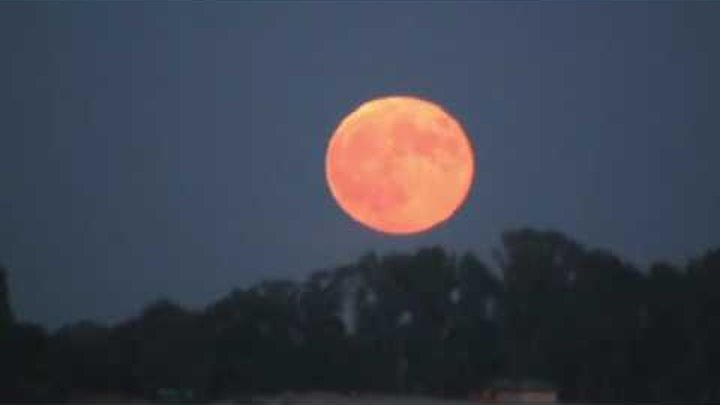 Red moon rising