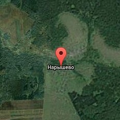 Без Нарыштан! — Участники | OK.RU