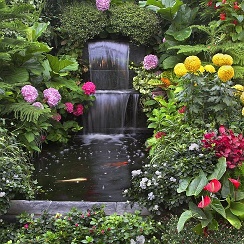 Мой прекрасный сад | Группа на OK.ru | Вступай, читай, общайся в ...