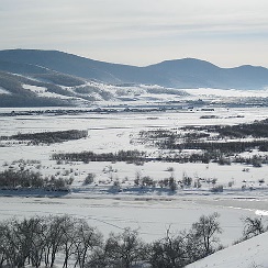 Желтура — Темы | OK.RU