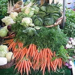 САД...ОГОРОД... | Группа на OK.ru | Вступай, читай, общайся в ...