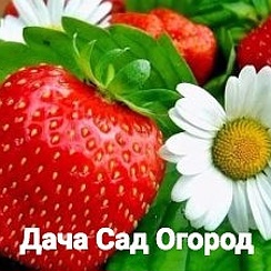 Дача Сад Огород — Темы | OK.RU