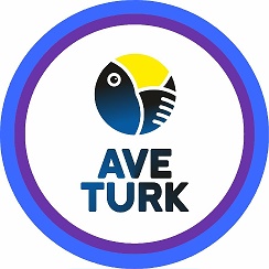 Aveturk - Осман, Сельджуки, Барбаросса, Легенда — Видео | OK.RU